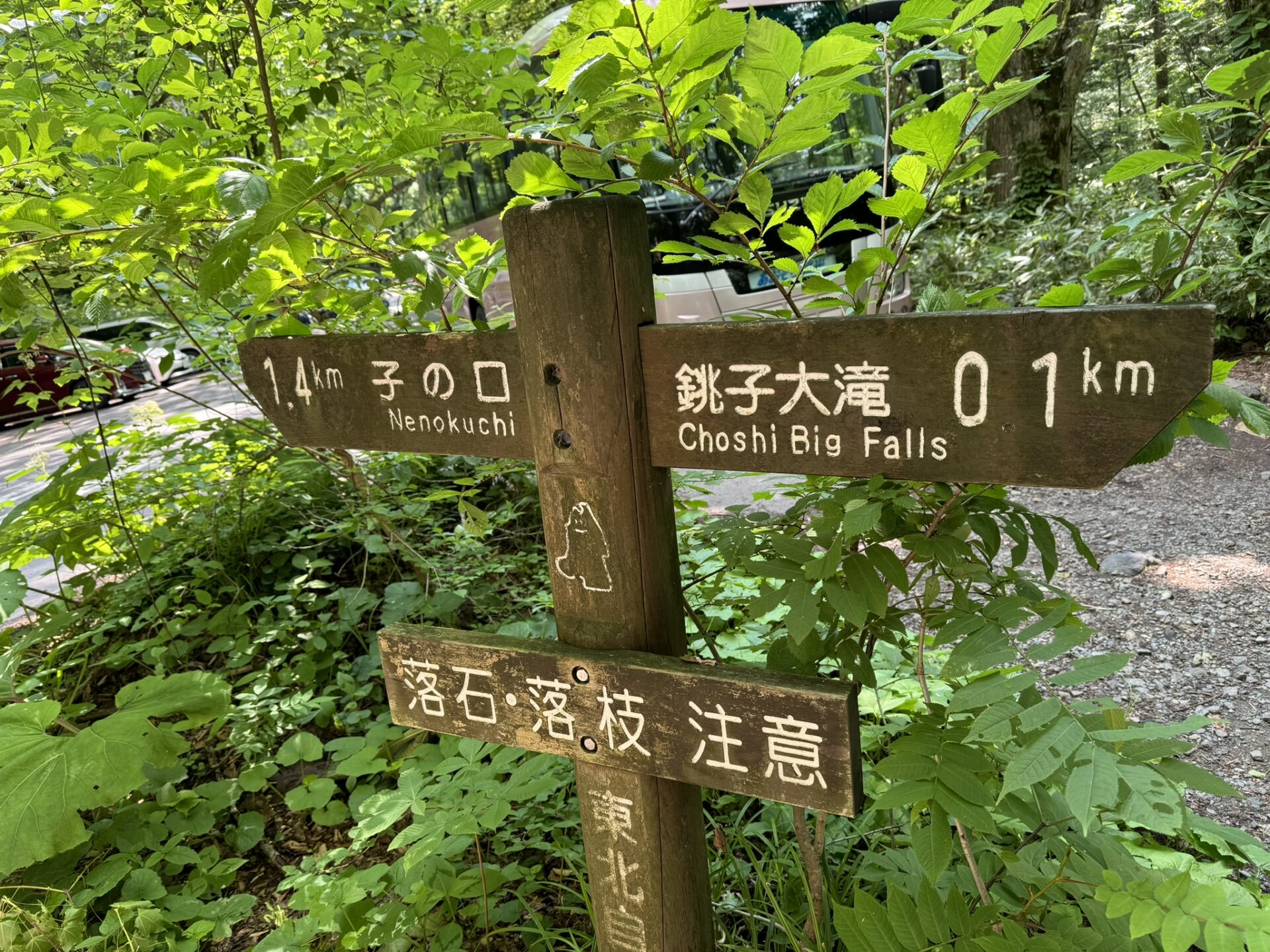 Oirase Gorge Japan Travel Guide: A Must-Visit Hidden Gem In Japan’s ...